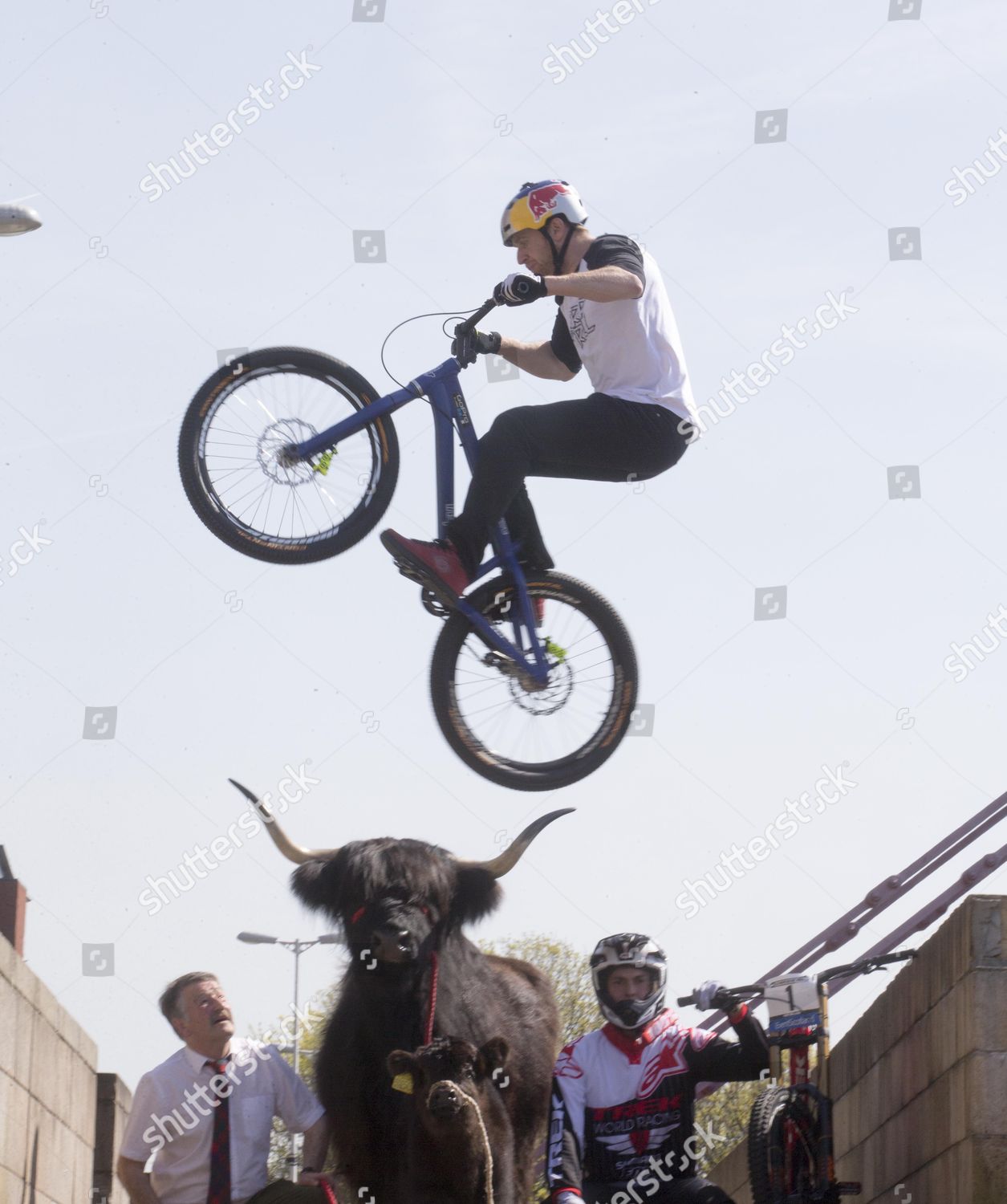 Danny Macaskill Jumping Daisy Cow Editorial Stock Photo - Stock Image ...