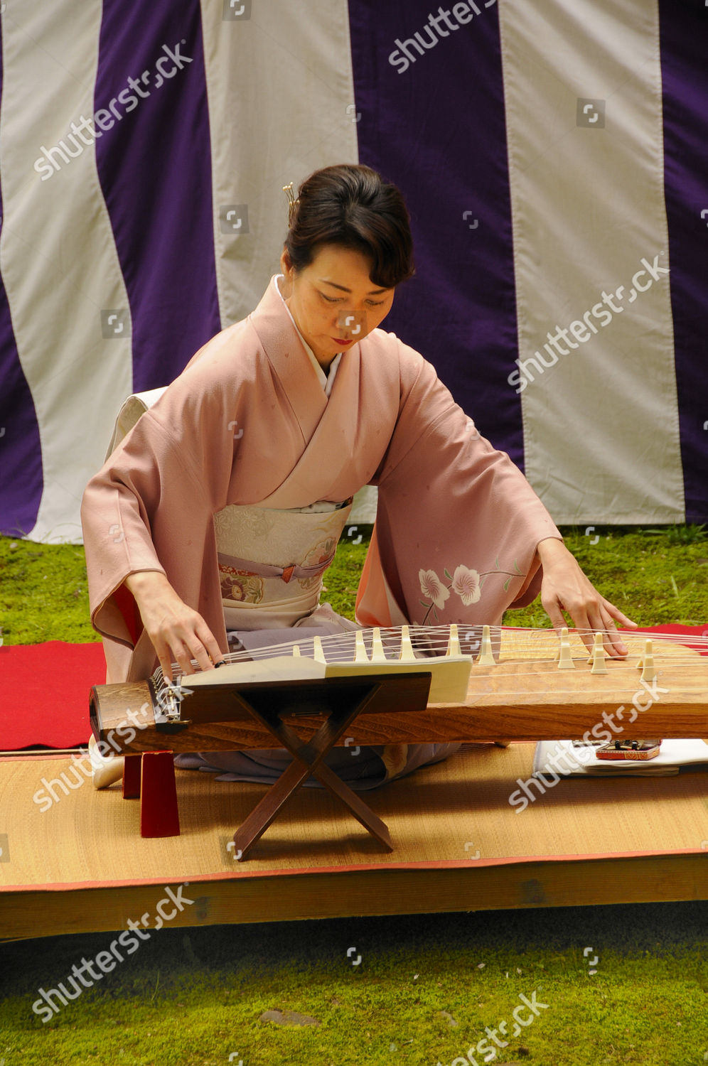Woman Kimono Playing Japanese Zither Koto Editorial Stock Photo - Stock ...