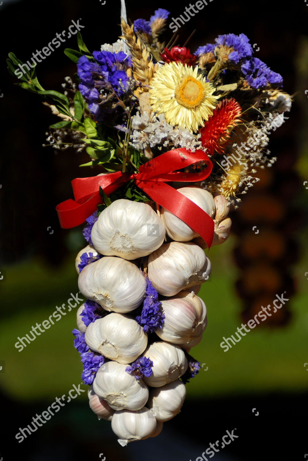 String Garlic Traditional Harvest Decoration Editorial Stock Photo ...