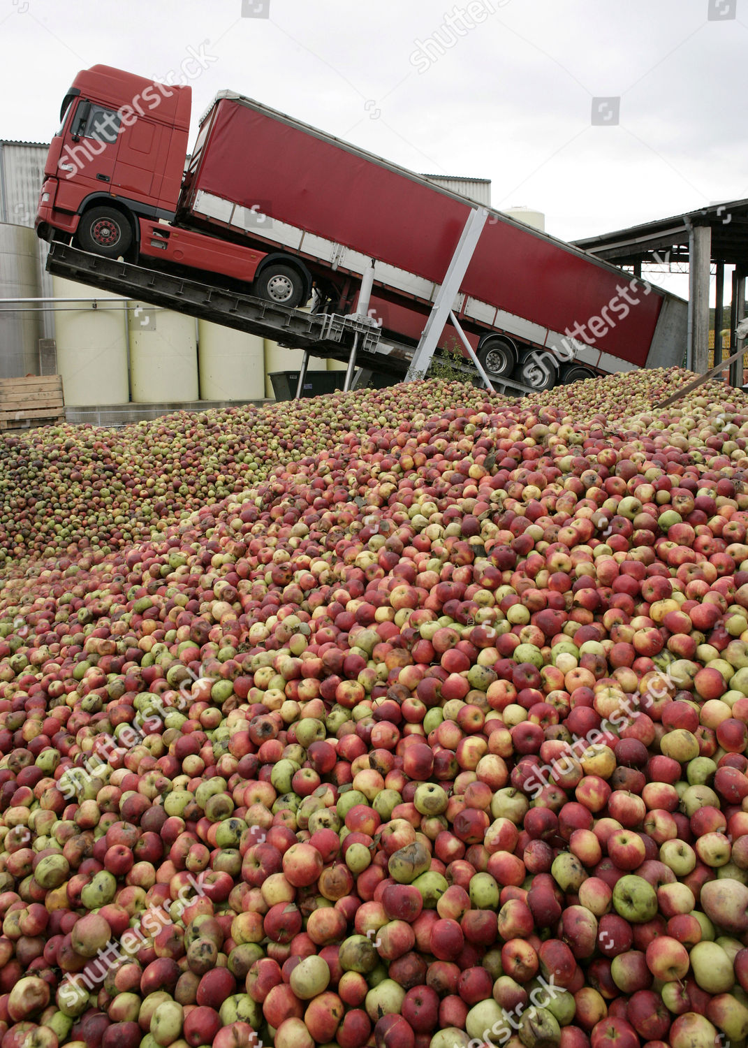 Lorry Truck Apples On Ramp Delivering Editorial Stock Photo - Stock ...