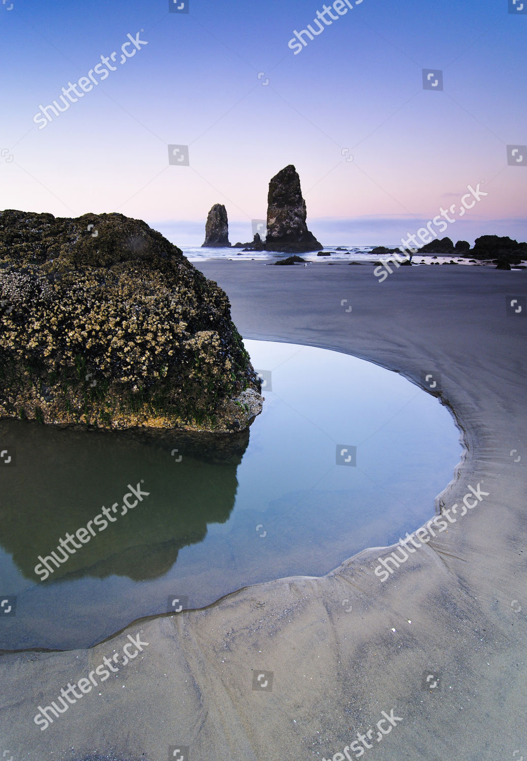 Monolith Solidified Lava Rock Cannon Beach Editorial Stock Photo ...