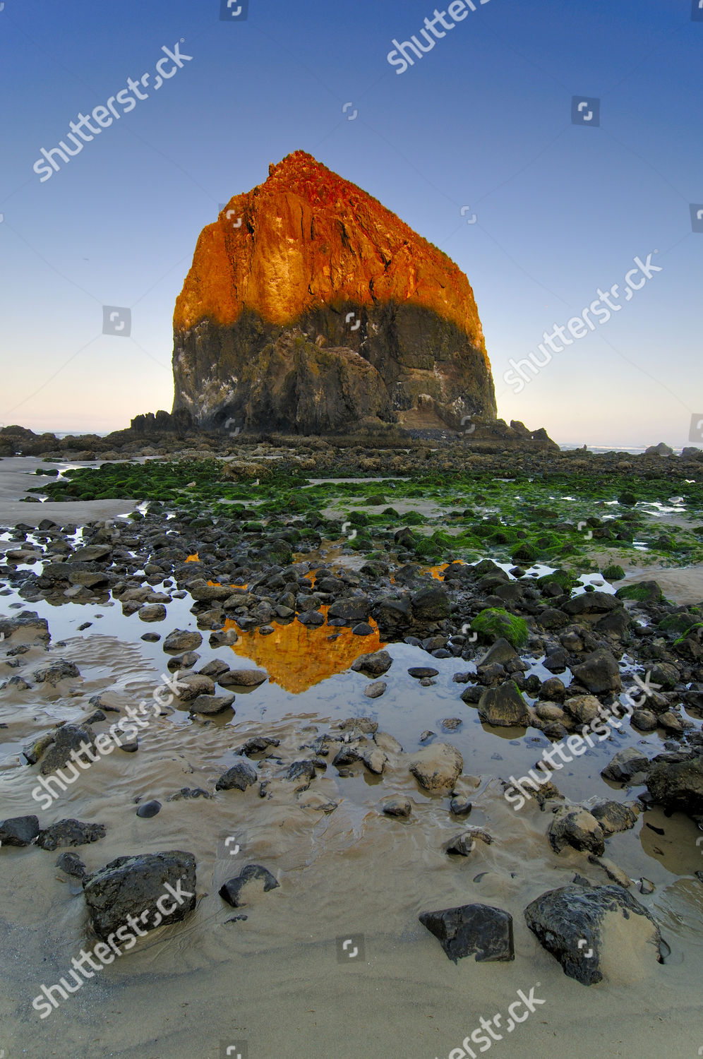 Famous Haystack Rock Monolith Solidified Lava Editorial Stock Photo ...