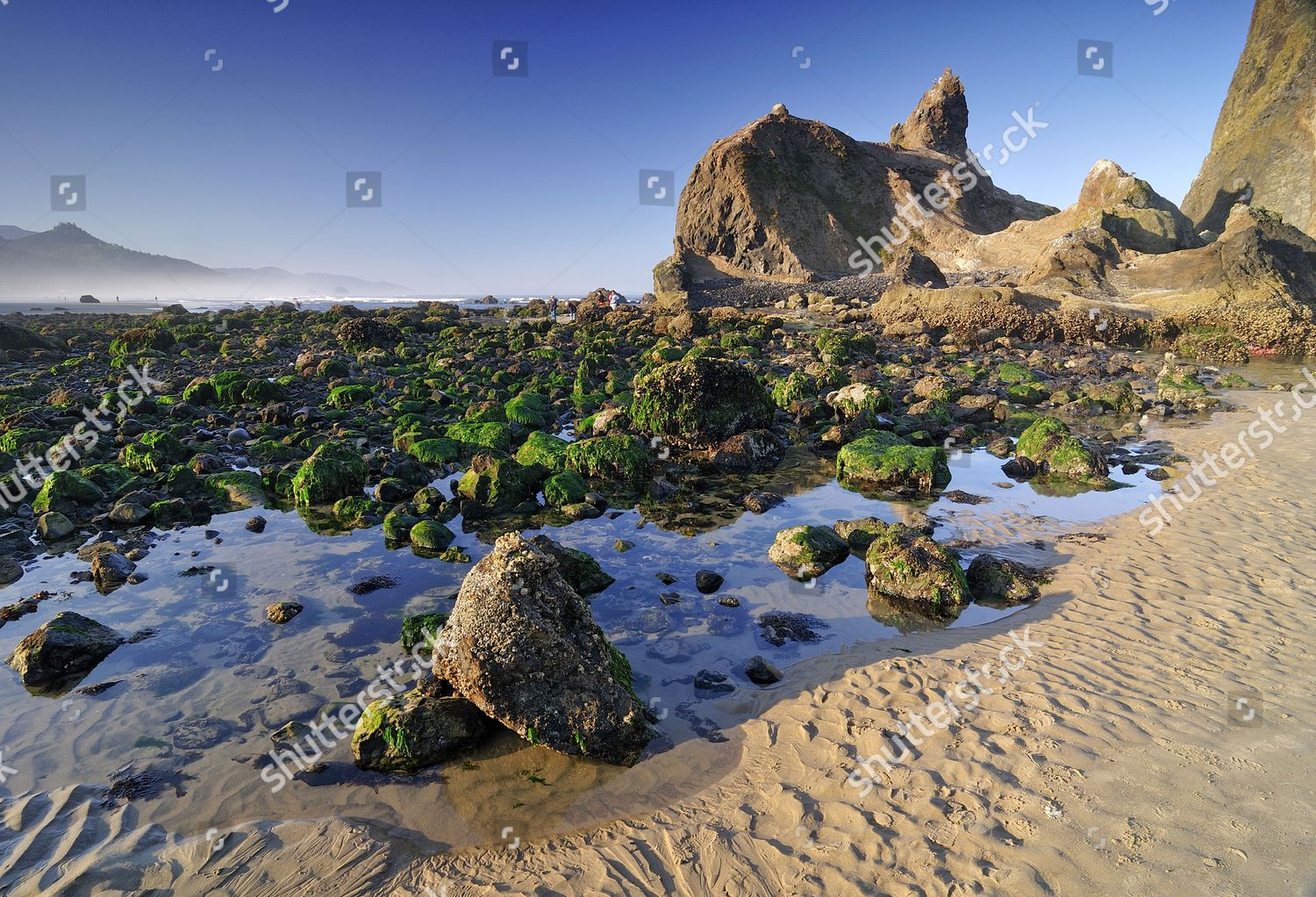 Tide Pools Cannon Beach Clatsop County Editorial Stock Photo - Stock ...