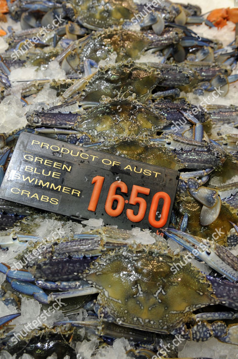 Fresh Blue Swimming Crabs Fish Market Editorial Stock Photo - Stock ...