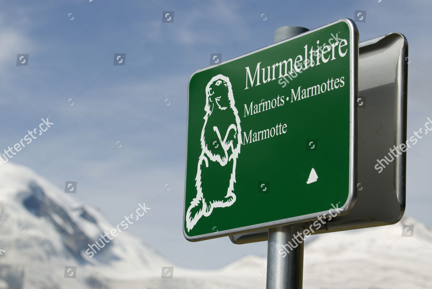 Sign Murmeltiere German Marmot Groundhog Mt Editorial Stock Photo ...