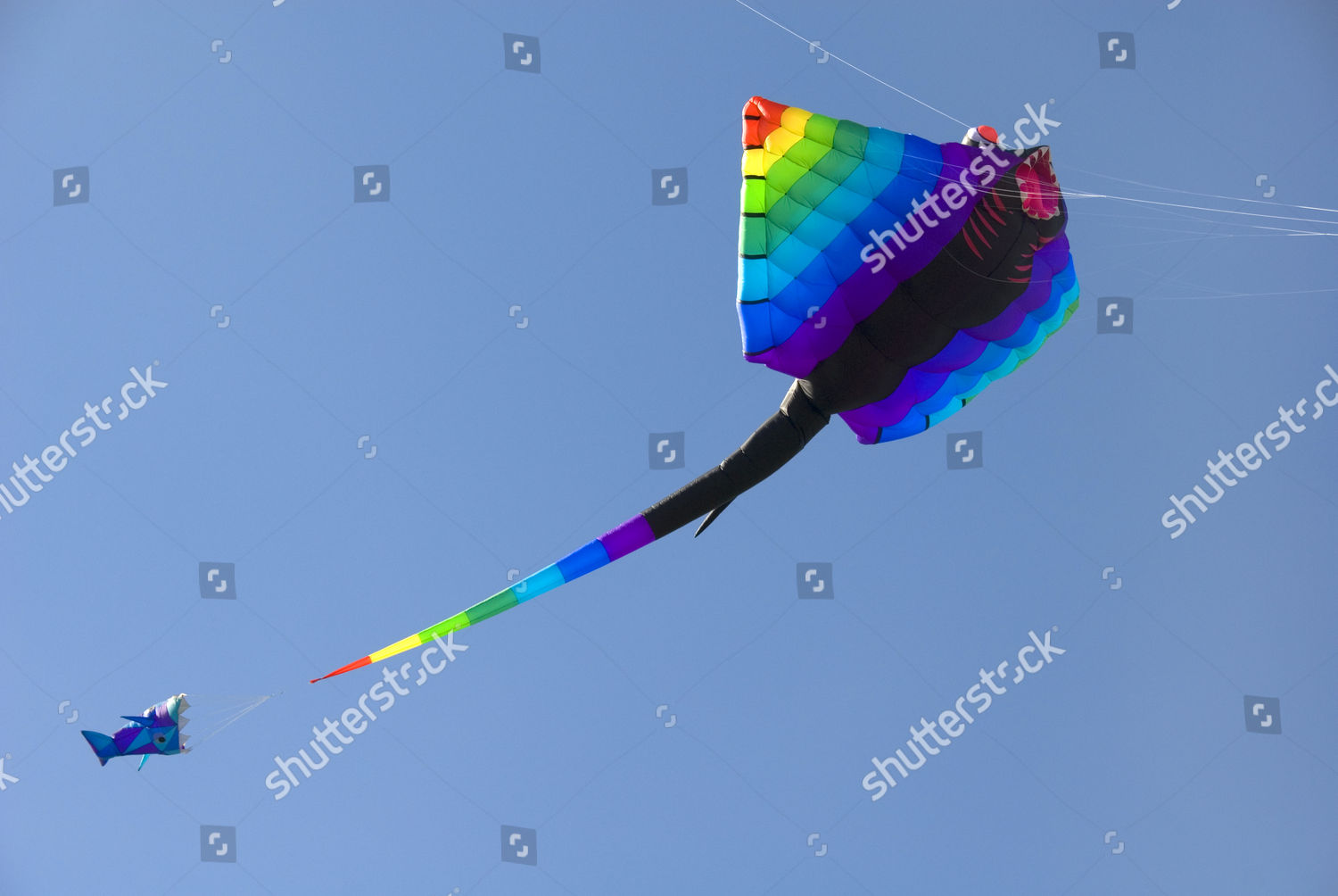Gigantic Kite Manta Ray International Kite Editorial Stock Photo ...