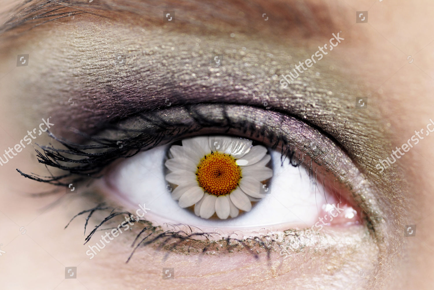 Model Released Eye Daisy Symbolic Picture Editorial Stock Photo - Stock ...