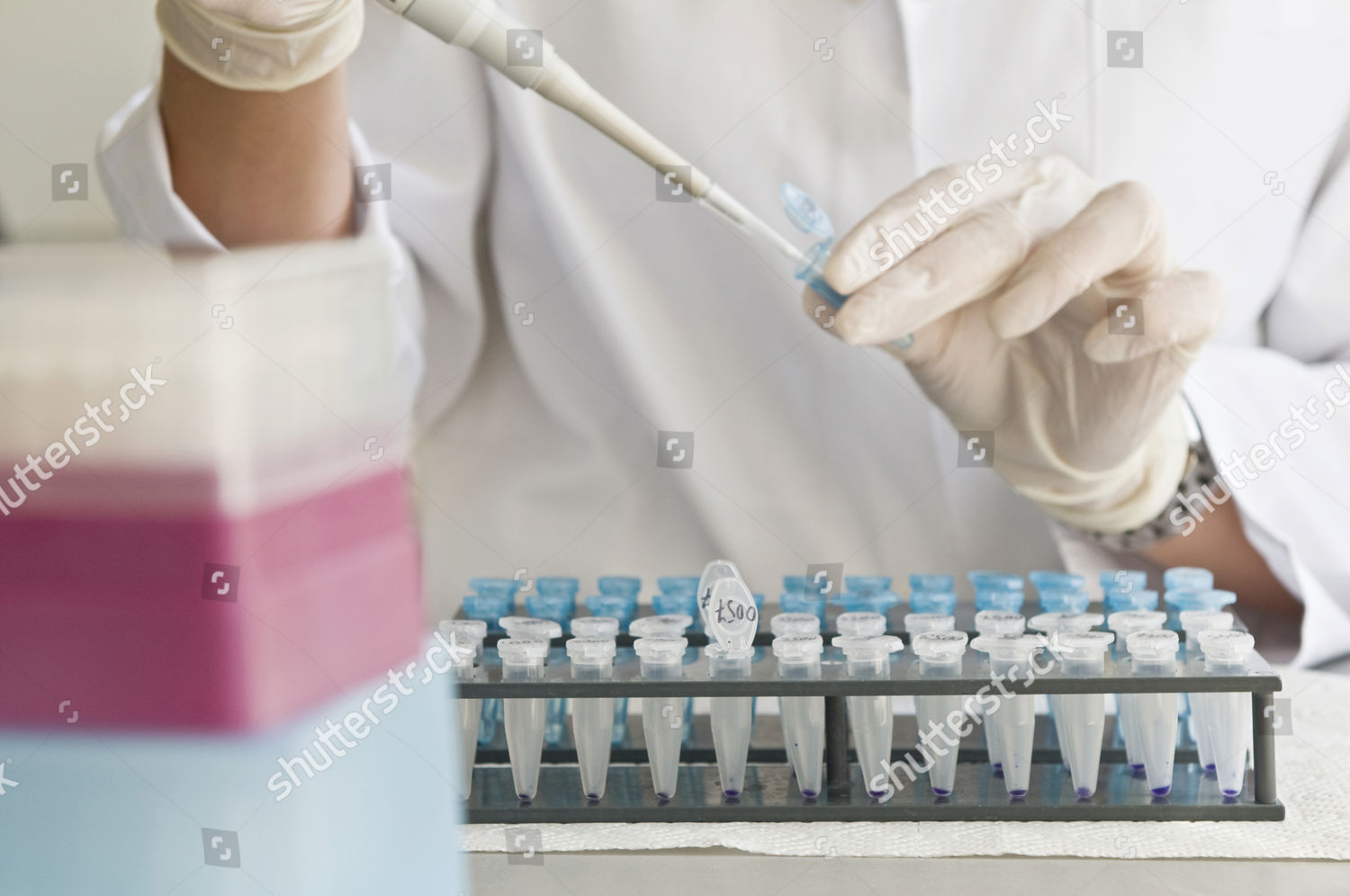 Model Released Lab Scene Editorial Stock Photo - Stock Image | Shutterstock