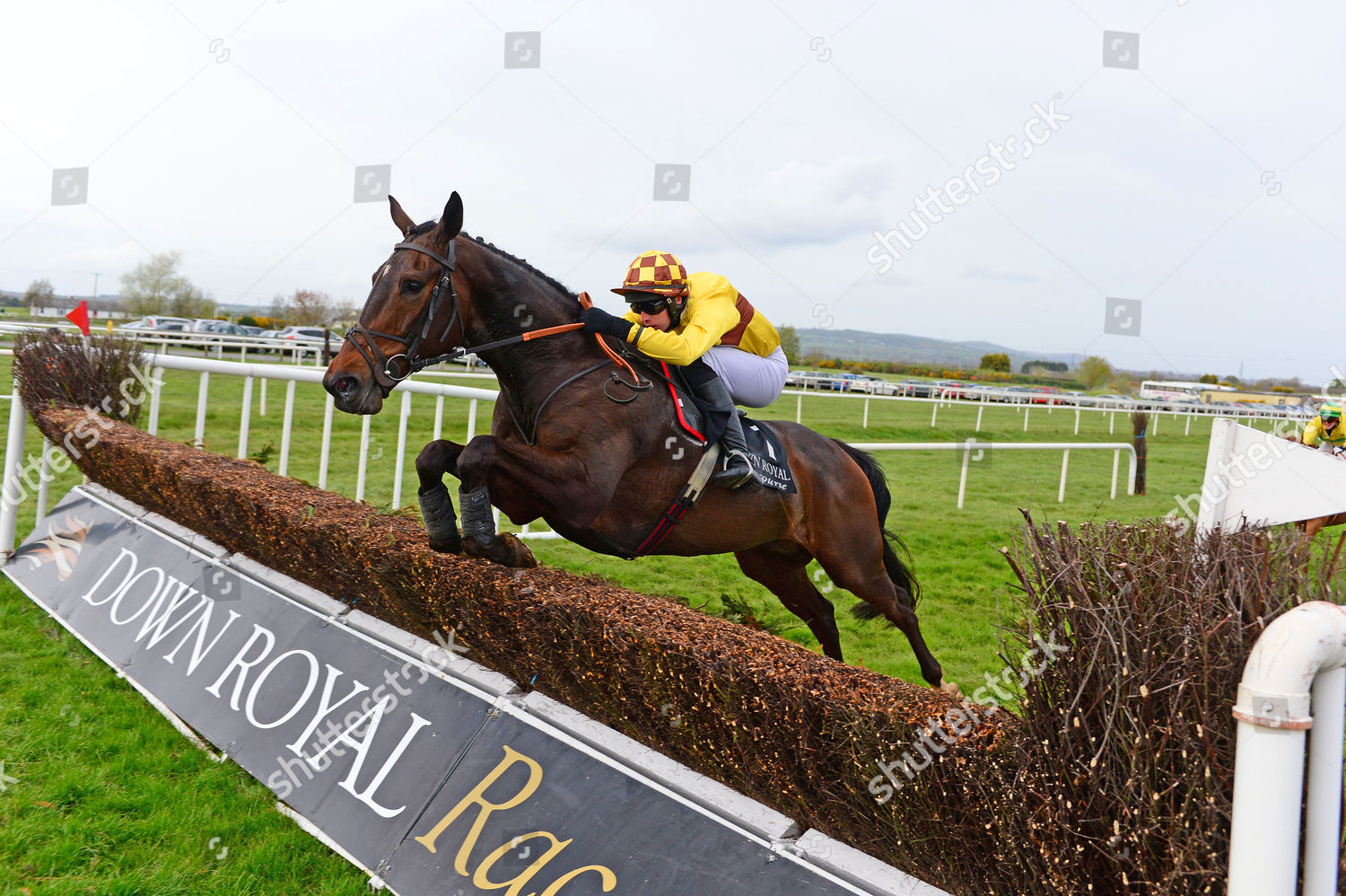 Down Royal Lord Fingal Stephen Clements Editorial Stock Photo - Stock ...