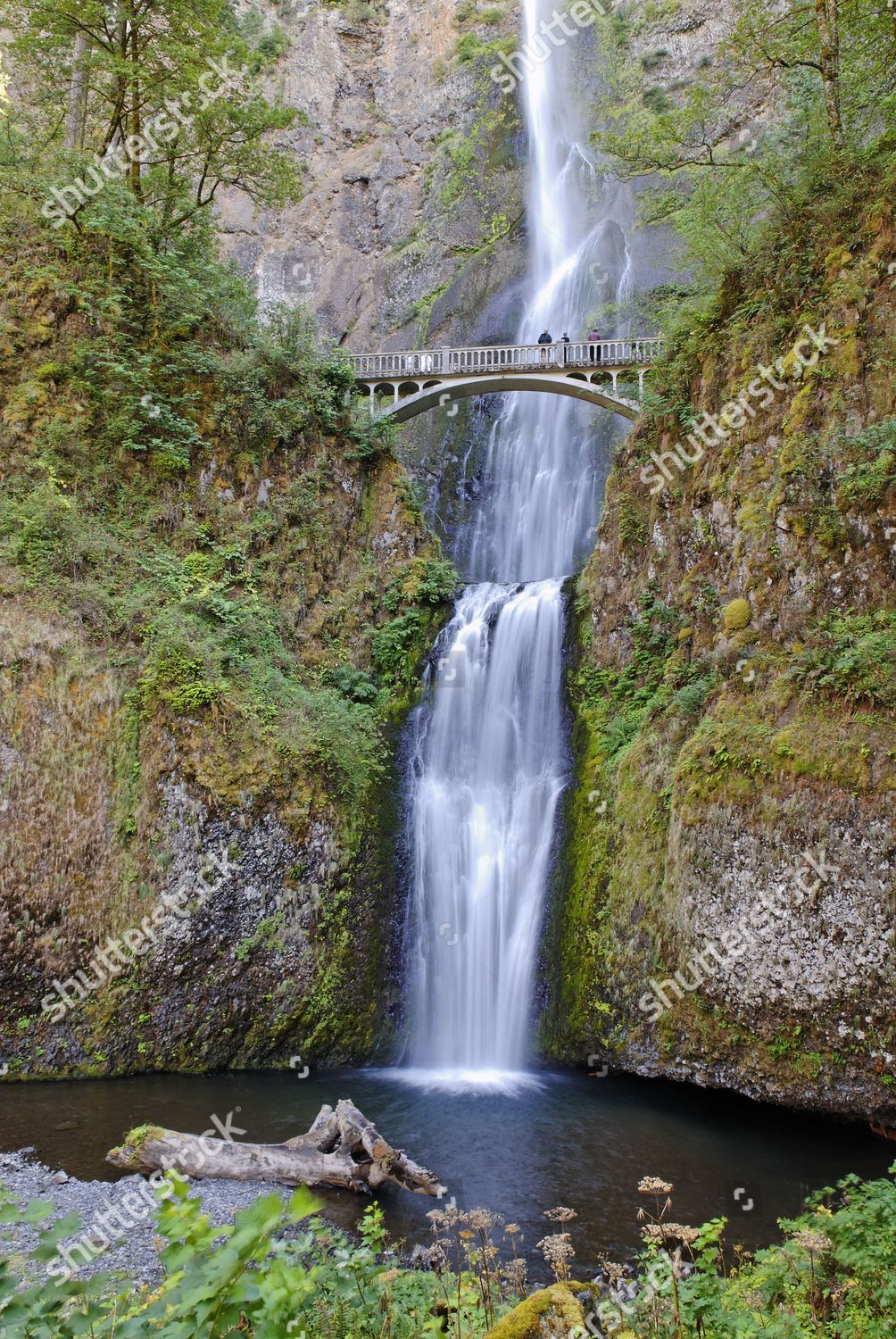 Multnomah Falls Columbia River Gorge Cascade Editorial Stock Photo ...