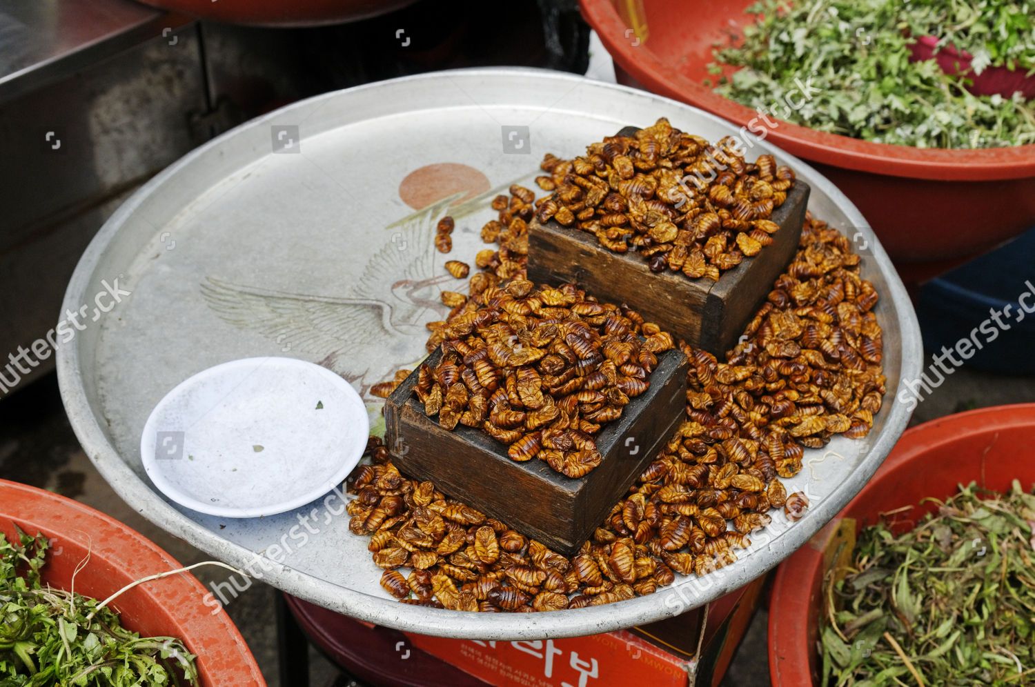 Korean Food Roasted Beetle Larvae Market Editorial Stock Photo - Stock ...