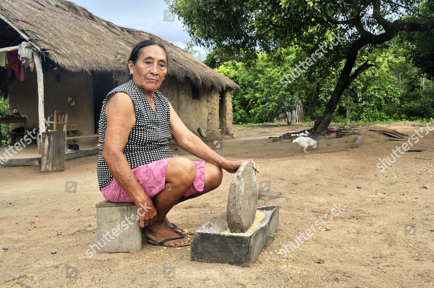 Old Farmer Grinding Corn Traditional Mortar Editorial Stock Photo ...