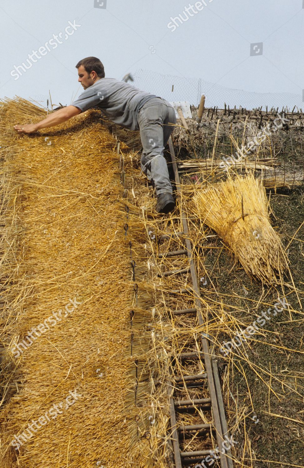 Thatching Thatcher Working Ridge Roof Kingston Editorial Stock Photo ...
