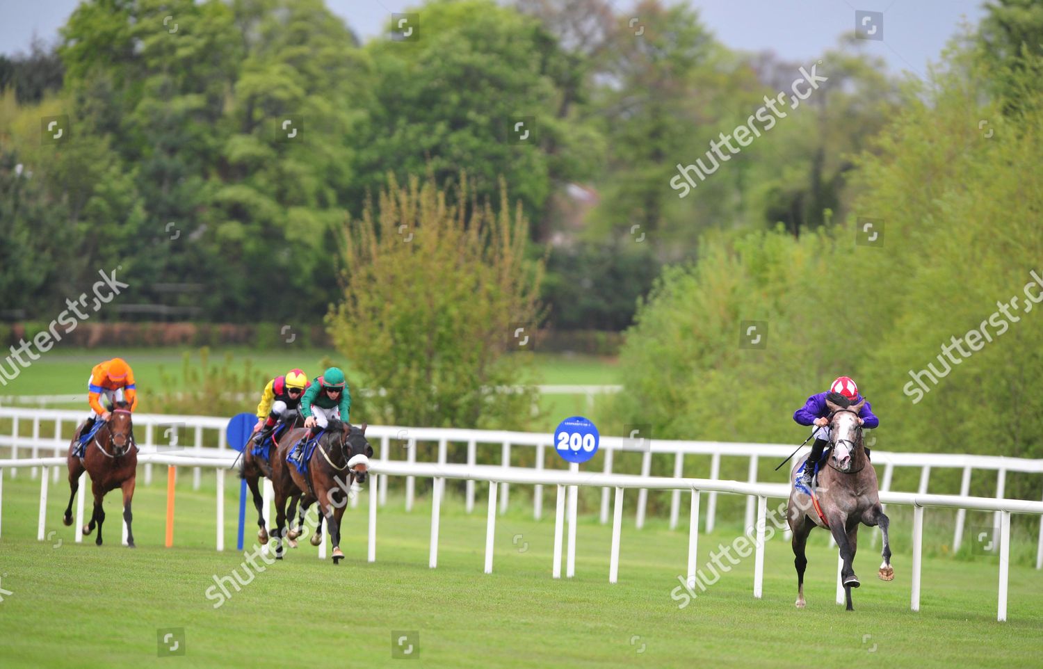Leopardstown Derrinstown Stud Derby Trial Success Editorial Stock Photo ...