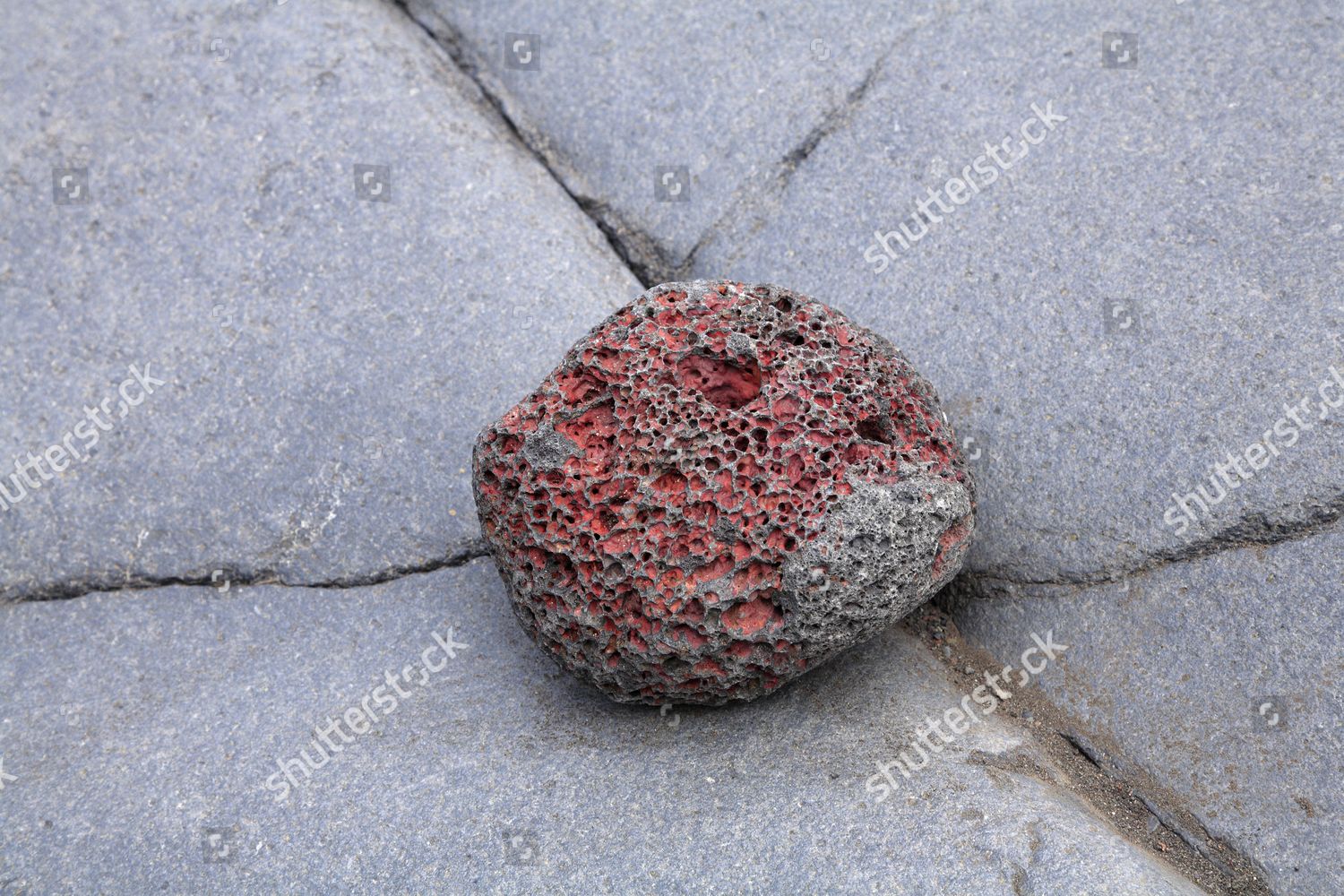 Grayred Volcanic Stone Basalt Lava Bomb Editorial Stock Photo - Stock ...