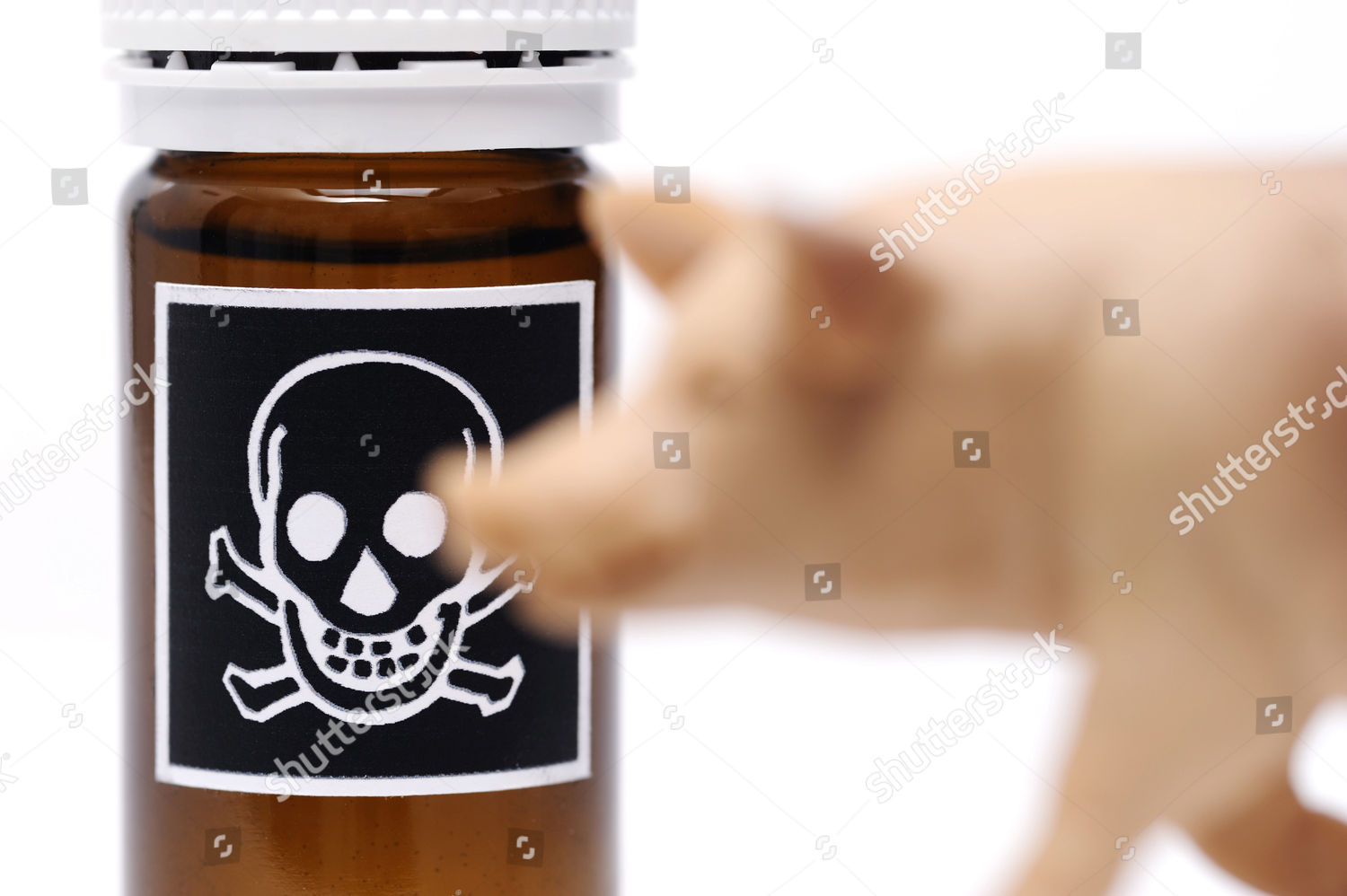 Miniature Pig Bottle Poison Symbol Symbolic Editorial Stock Photo ...