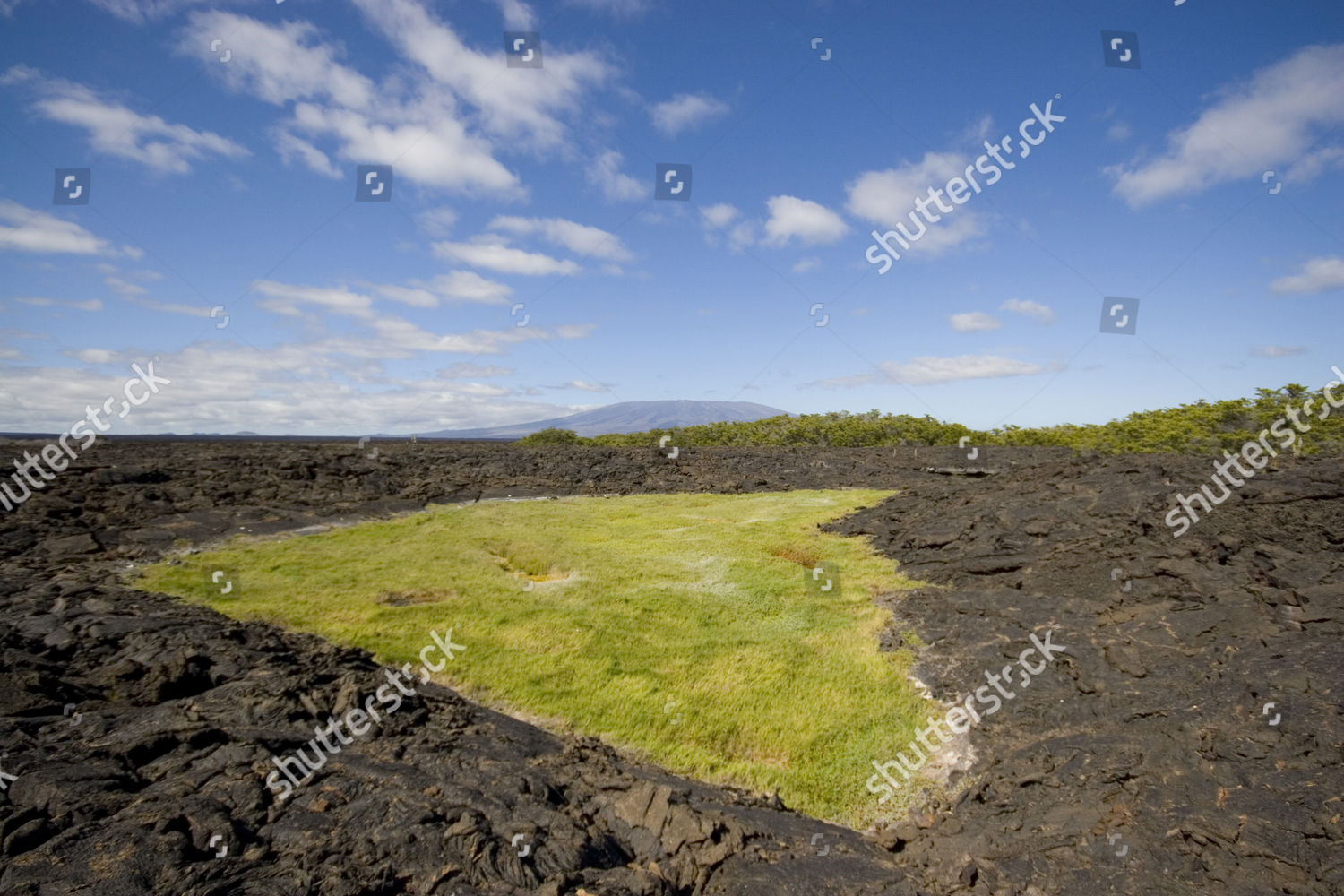 Sunken Collapsed Pit Crater Traps Water Editorial Stock Photo - Stock ...