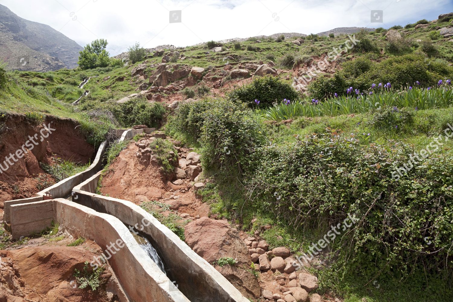 Concrete Water Channel Running Through Terraced Editorial Stock Photo ...