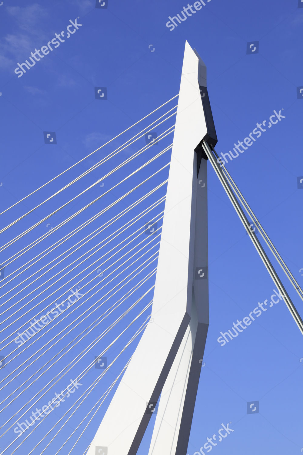 Cablestayed Bridge Bridge Pier Pylon Erasmus Editorial Stock Photo ...