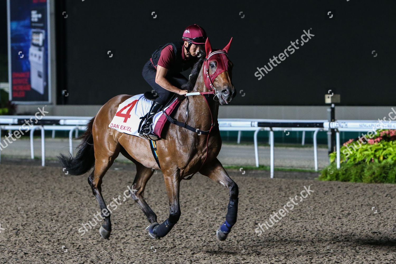 Kranje Dan Excel Early Morning Trackwork Editorial Stock Photo - Stock ...
