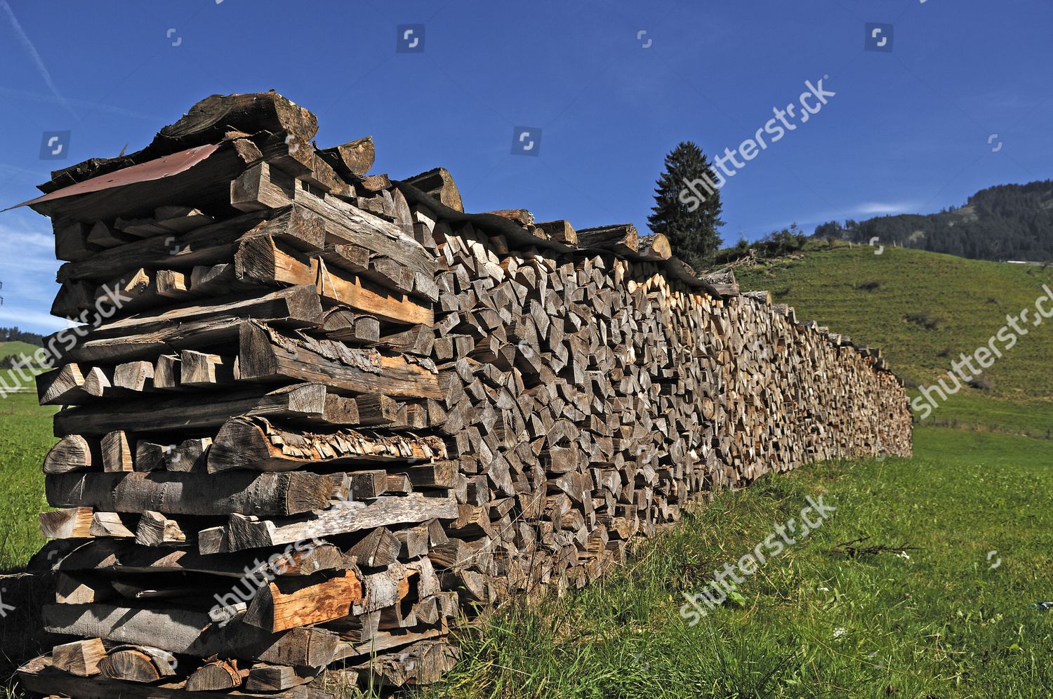 Stack Logs On Meadow Against Blue Editorial Stock Photo - Stock Image ...