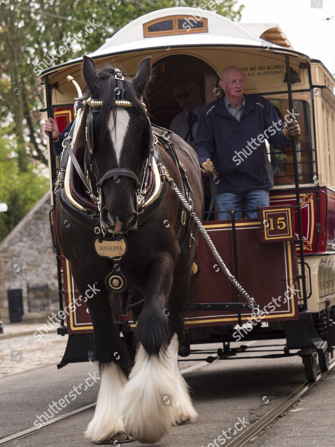 Vintage Horsedrawn Tram Being Pulled By Editorial Stock Photo - Stock ...