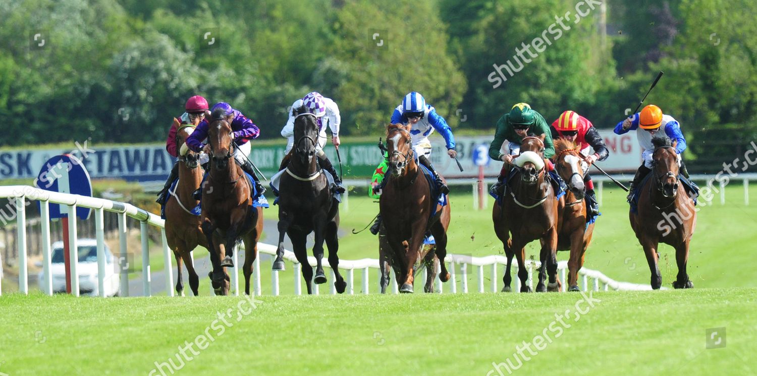 Fairyhouse Miss Elizabeth Wayne Lordan Purple Editorial Stock Photo ...