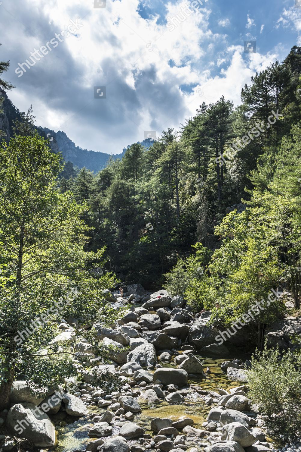 Riverbed Tavignano Corte Hautecorse Corsica France Editorial Stock ...