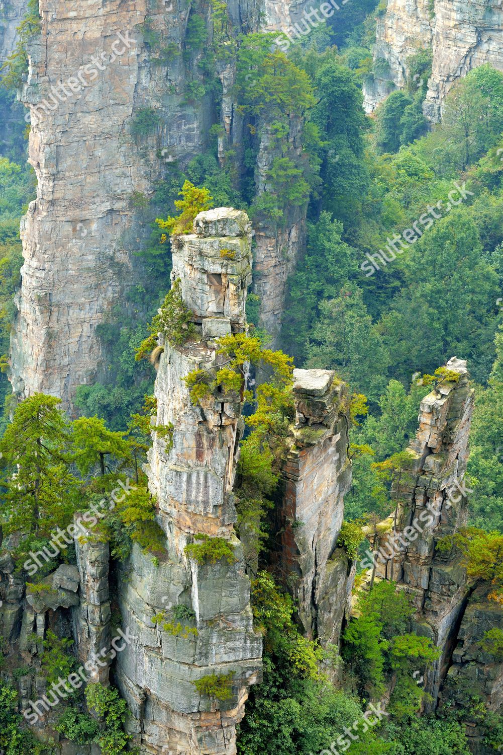 Tianzishan Mountain Vertical Rock Columns Quartz Editorial Stock Photo ...