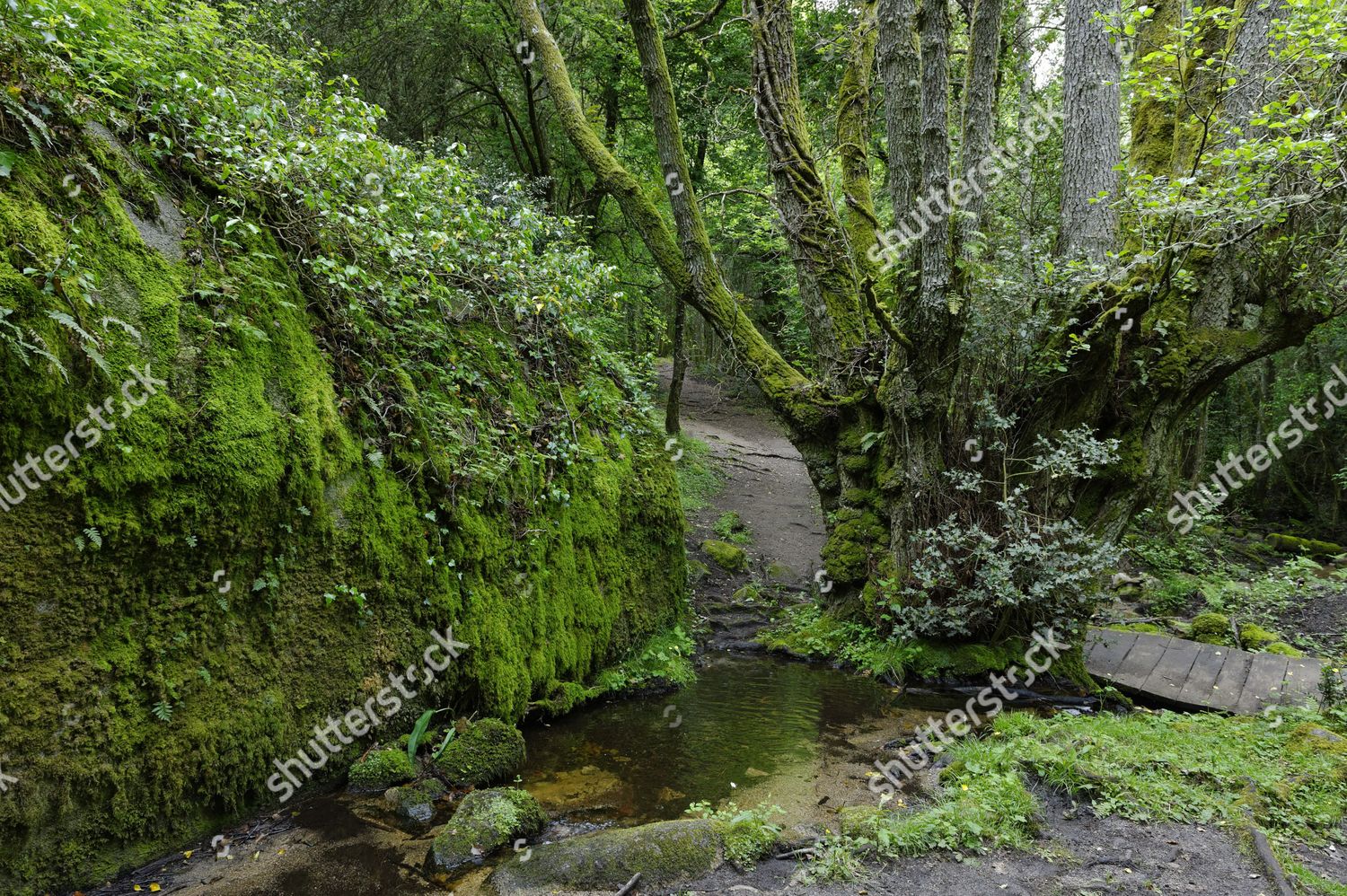 Wilderness Megalithic Place Worship Torrean Culture Editorial Stock ...