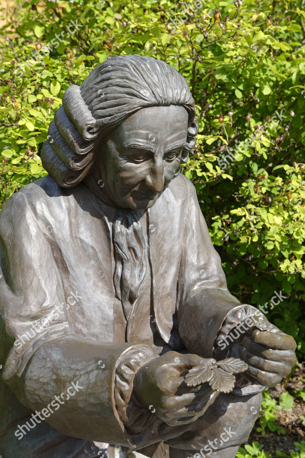Statue Carl Linnaeus Natural Scientist Rose Editorial Stock Photo ...