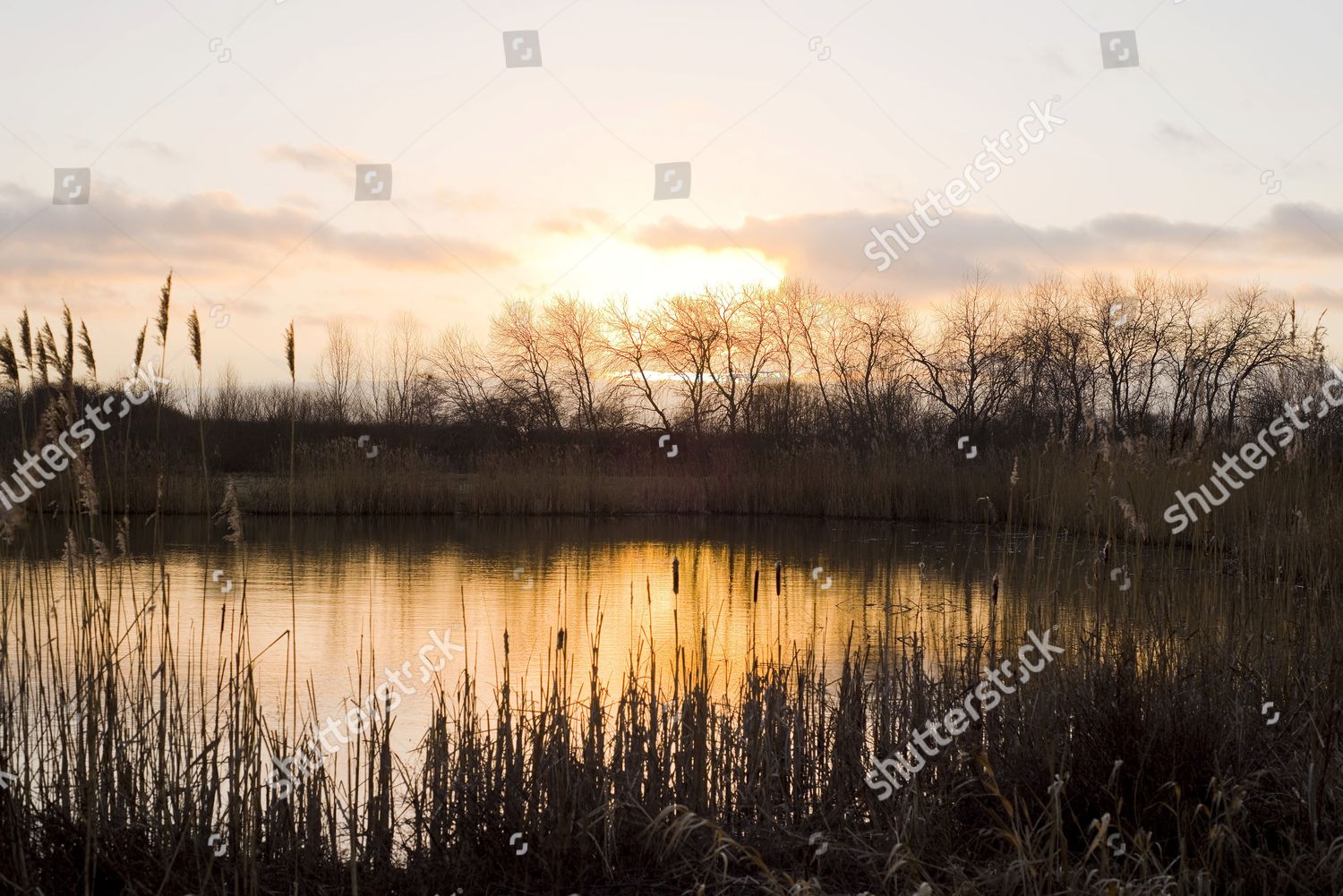 Sunset Over Pond Landscape Barnbruchswiesen Meadows Editorial Stock ...