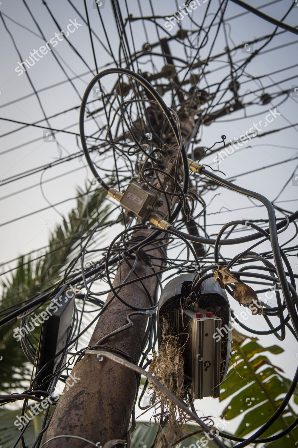 Electrical Cables Tangled Wires On Pylon Editorial Stock Photo - Stock ...