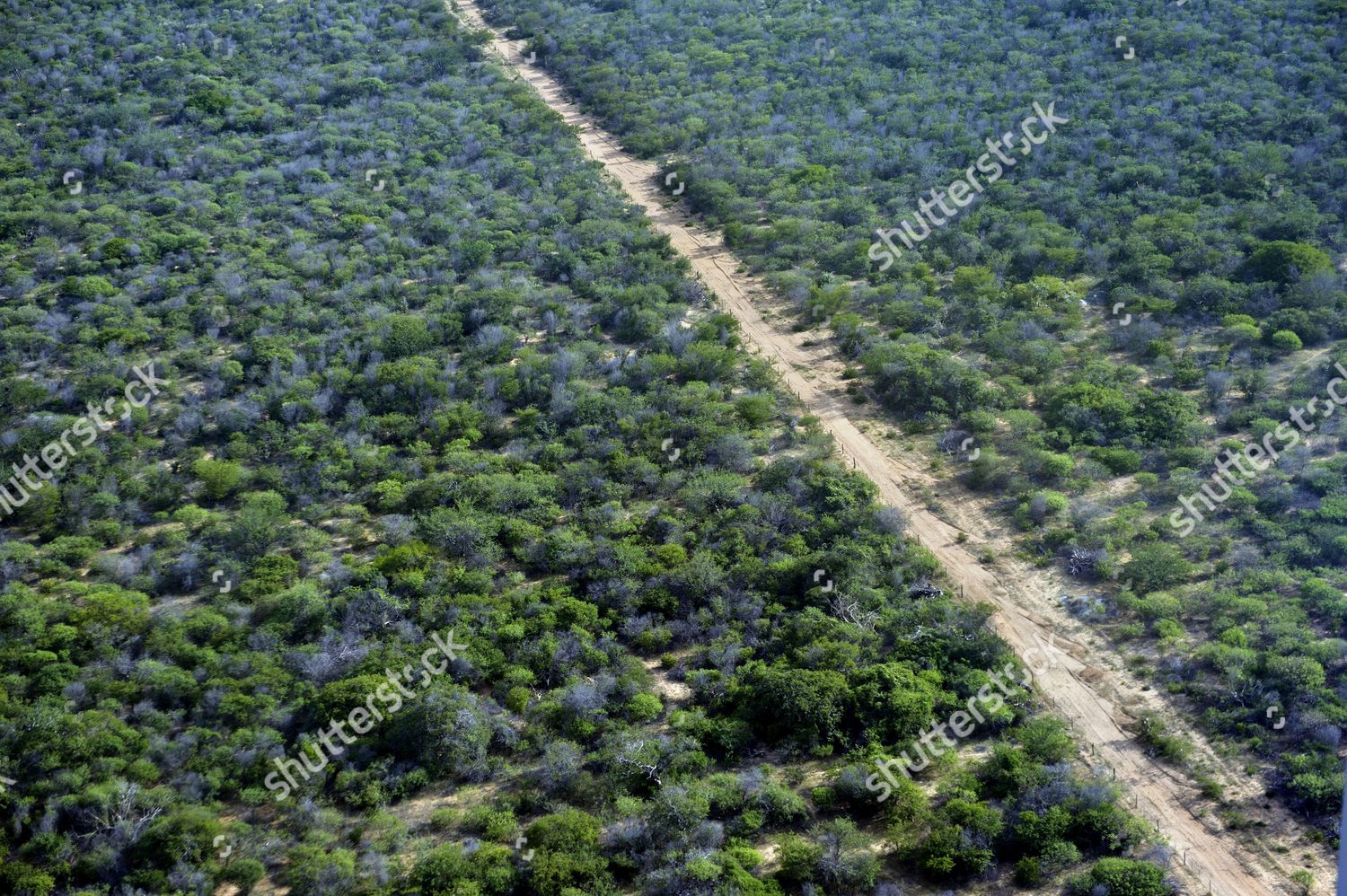 Aerial View Caatinga Vegetation Rainy Season Editorial Stock Photo ...