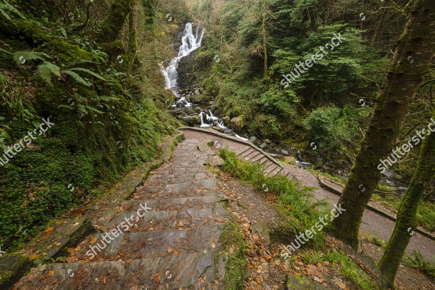 View Steps Leading Uphill Waterfall Torc Editorial Stock Photo - Stock ...