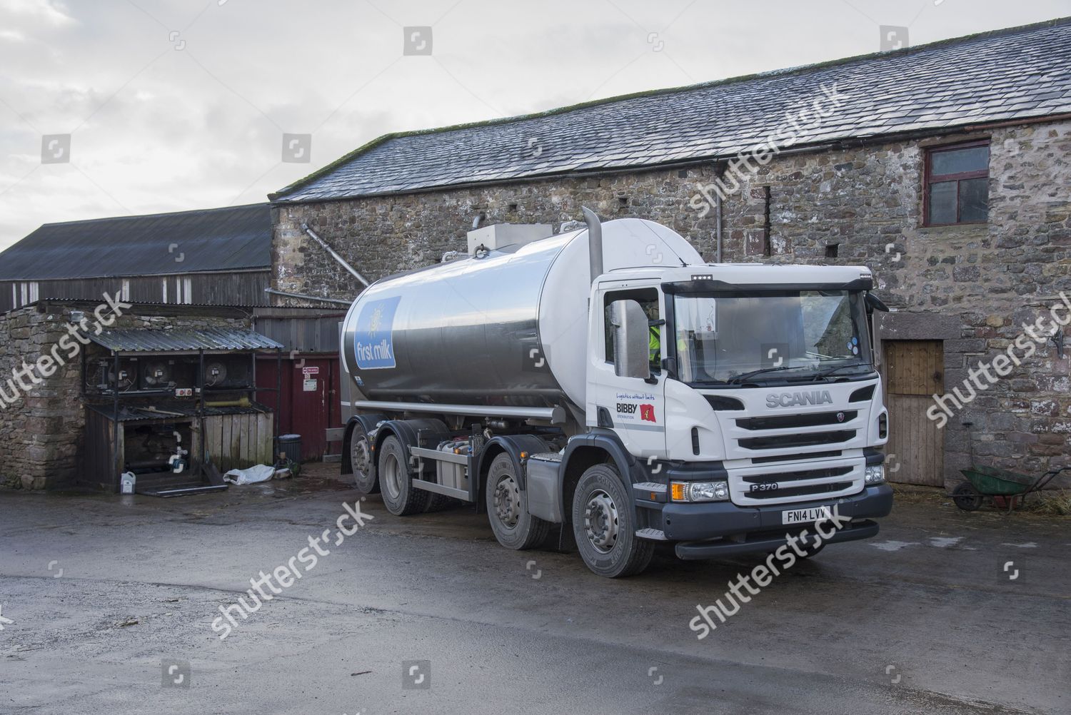 Dairy Farming First Milk Tanker Collecting Editorial Stock Photo ...