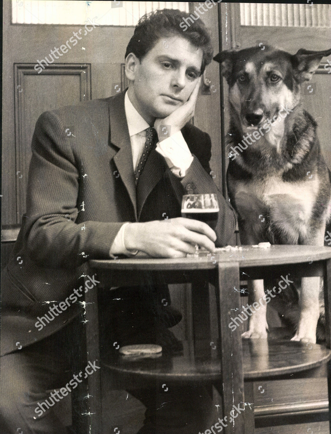 Actor Ronald Clarke Alsatian Dog Star Editorial Stock Photo - Stock ...