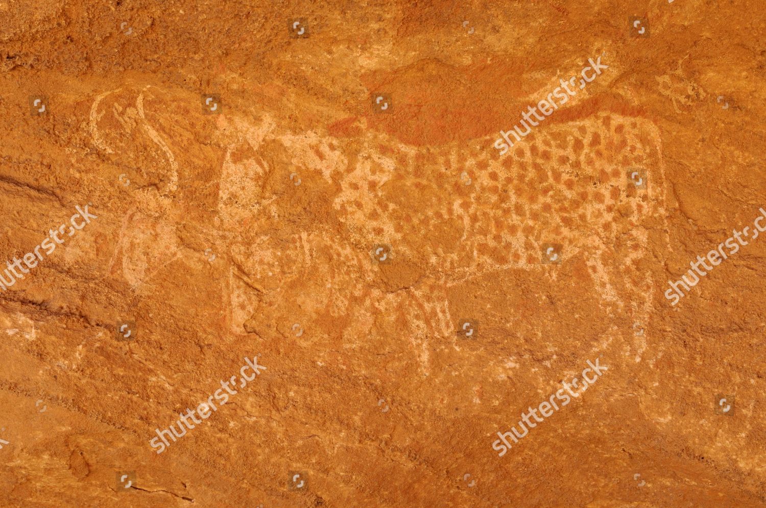 Rock Engraving Cow Neolithic Rock Art Editorial Stock Photo - Stock ...
