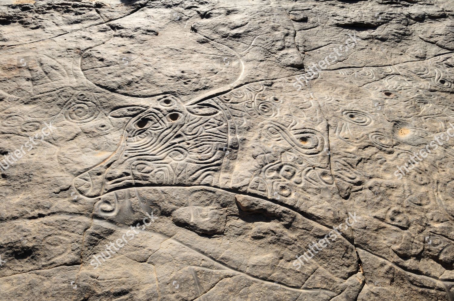 Rock Engraving Famous Curly Cow Neolithic Editorial Stock Photo - Stock ...
