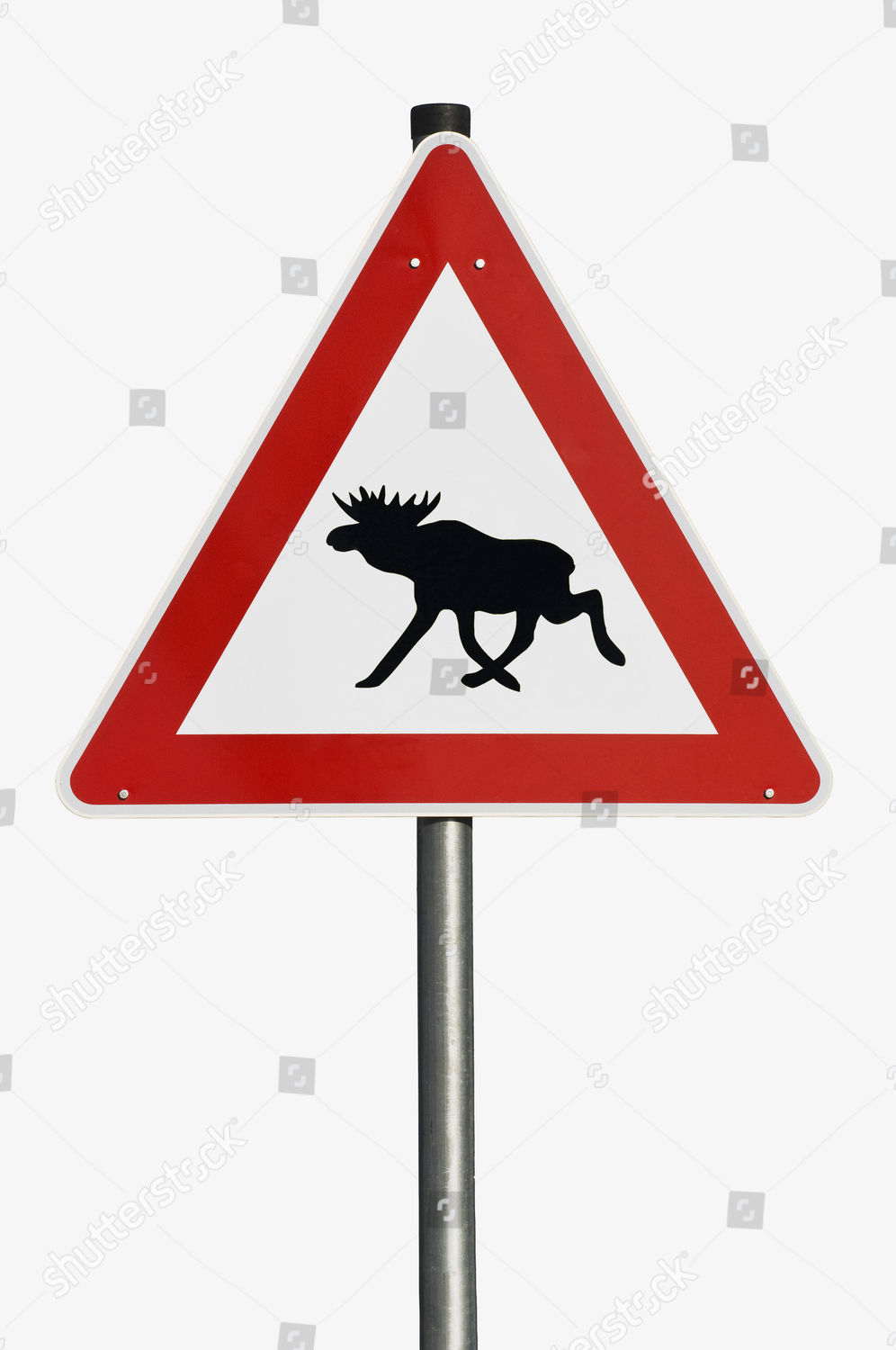Danger Sign Warning Sign Moose Editorial Stock Photo - Stock Image ...