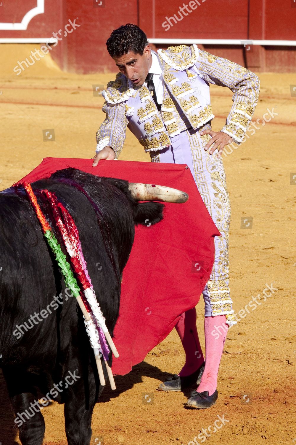 Torero Matador Bull Plaza De Toros Editorial Stock Photo - Stock Image ...