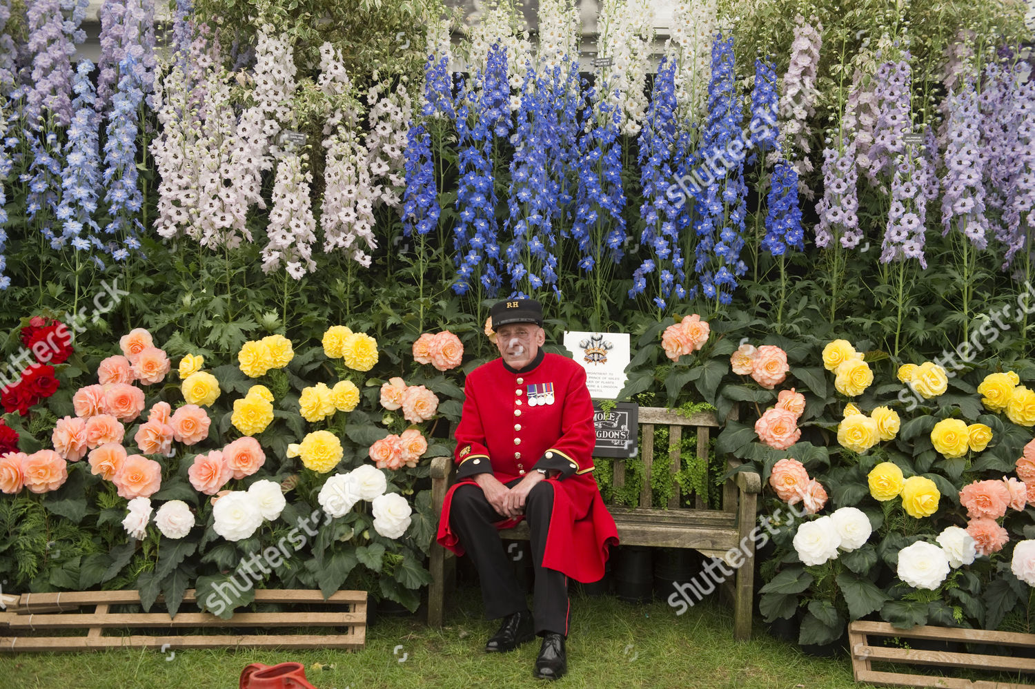 Chelsea Pensioner Steve Lovelock Sits Amongst Editorial Stock Photo ...