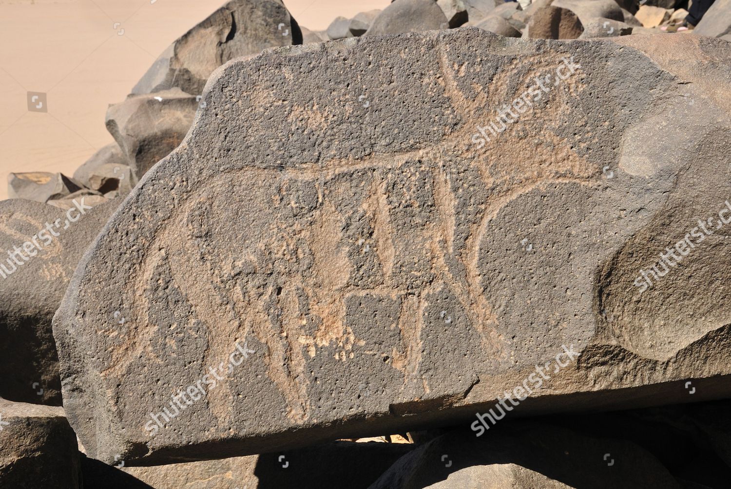 Neolithic Rock Art Bull Engraving Tadrart Editorial Stock Photo - Stock ...