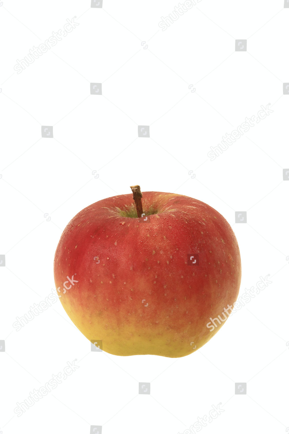 Apple Gascoynes Scarlet Variety Editorial Stock Photo - Stock Image ...
