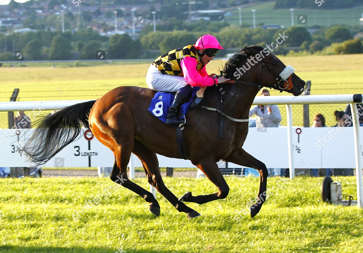 Cyril Shane Gray Win John De Editorial Stock Photo - Stock Image ...