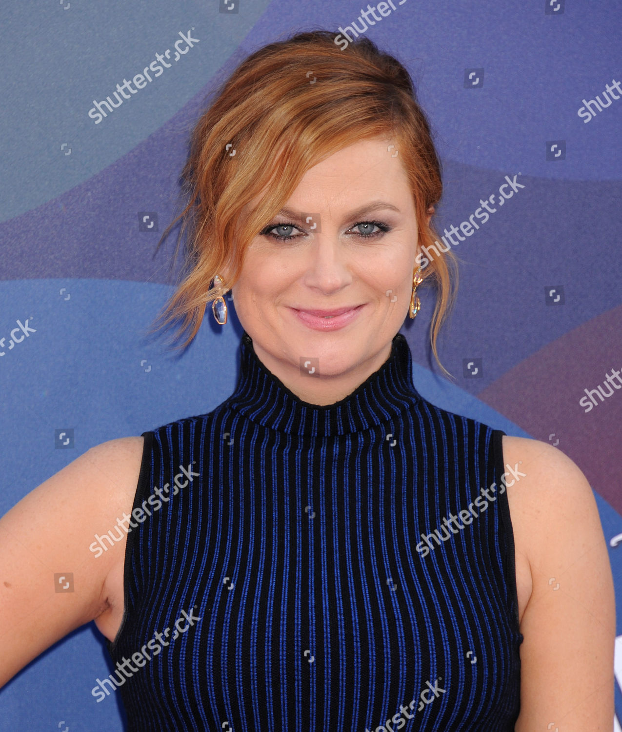 Amy Poehler Editorial Stock Photo - Stock Image | Shutterstock