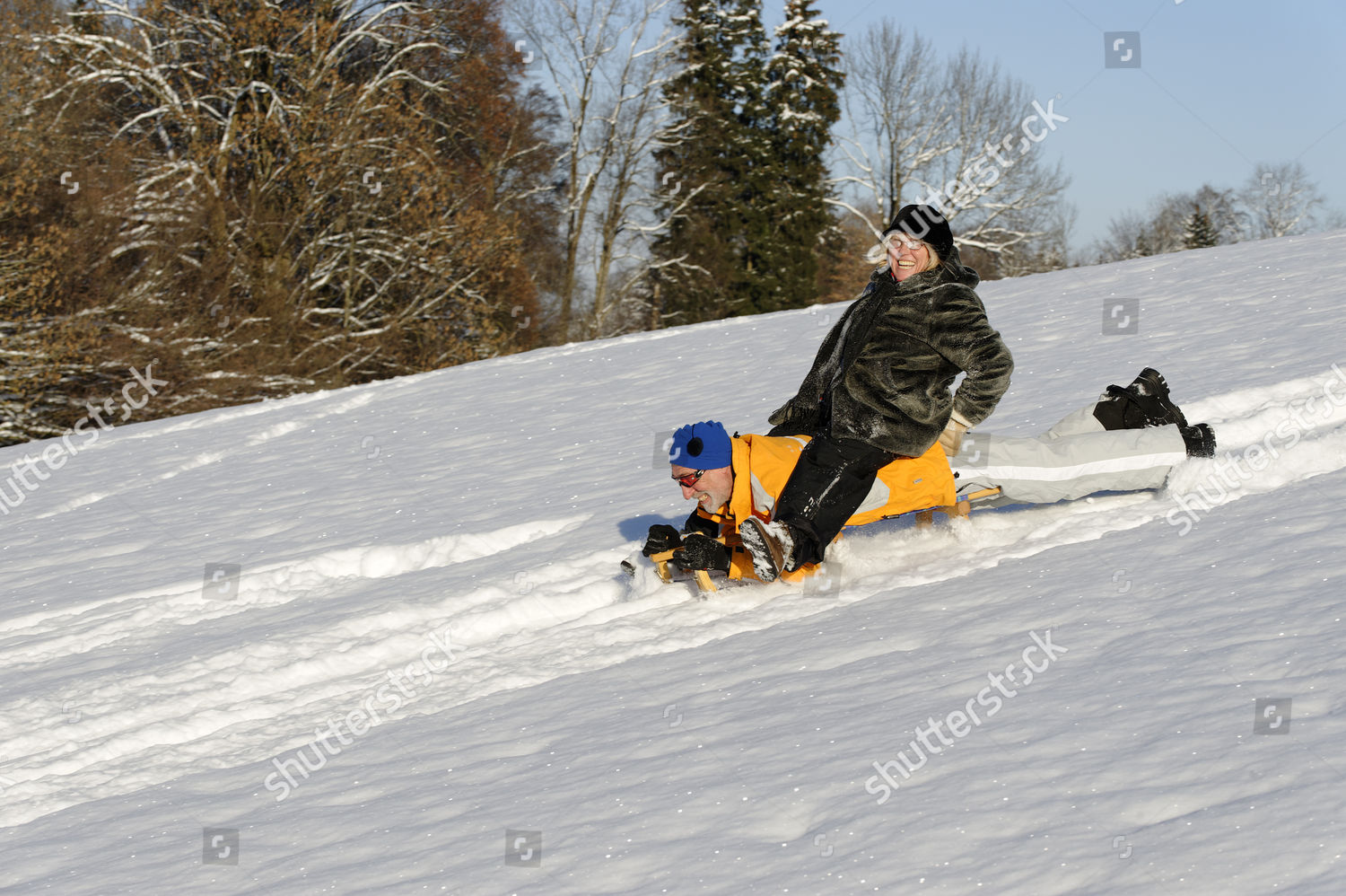 Model Released Sledding Editorial Stock Photo - Stock Image | Shutterstock