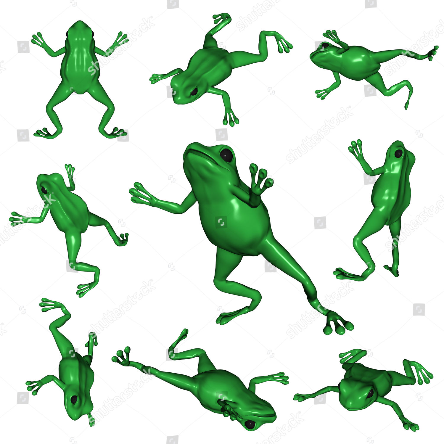 Frogs Viewed Different Angles 3d Illustration Editorial Stock Photo ...