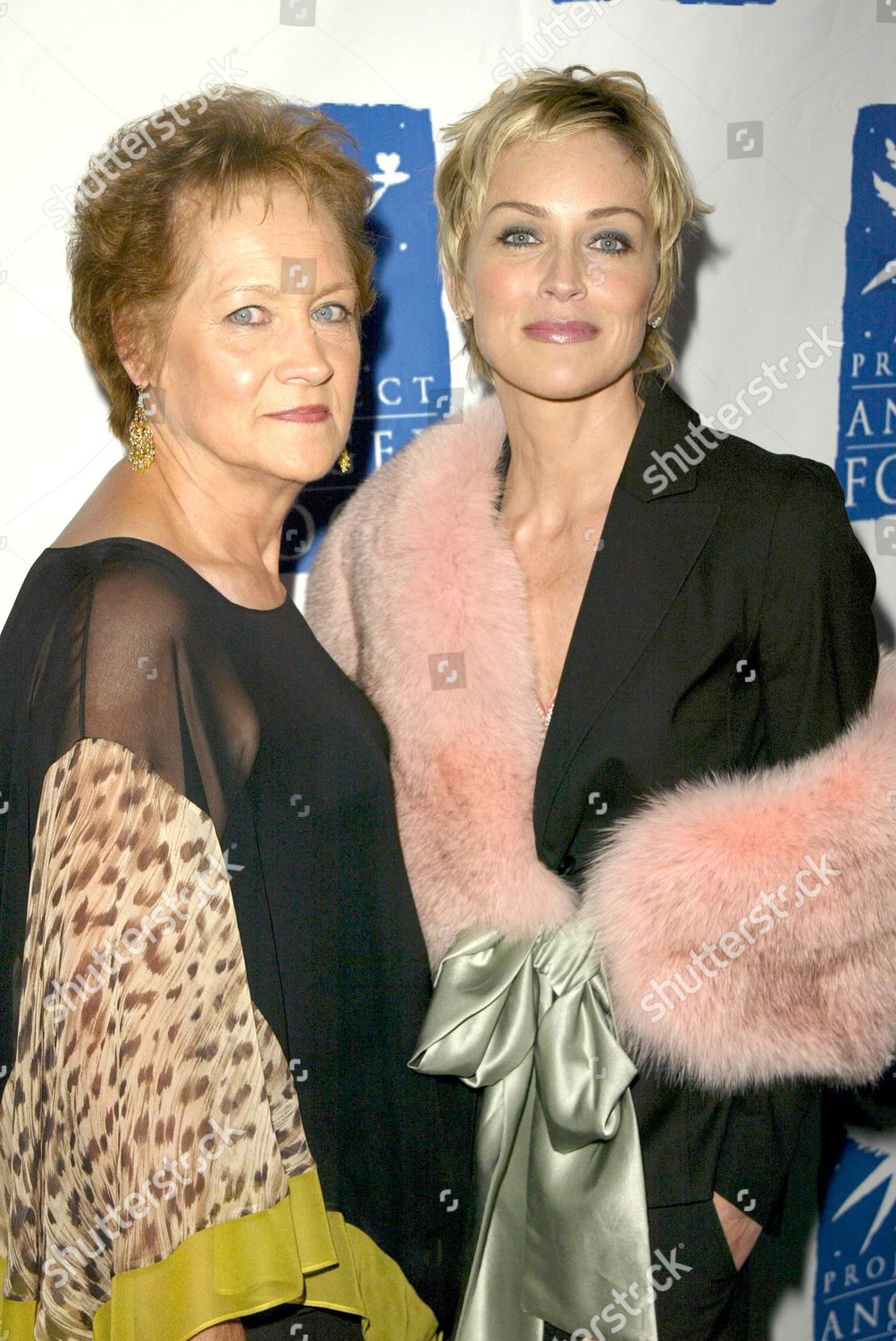 Dorothy Stone Sharon Stone Editorial Stock Photo - Stock Image ...