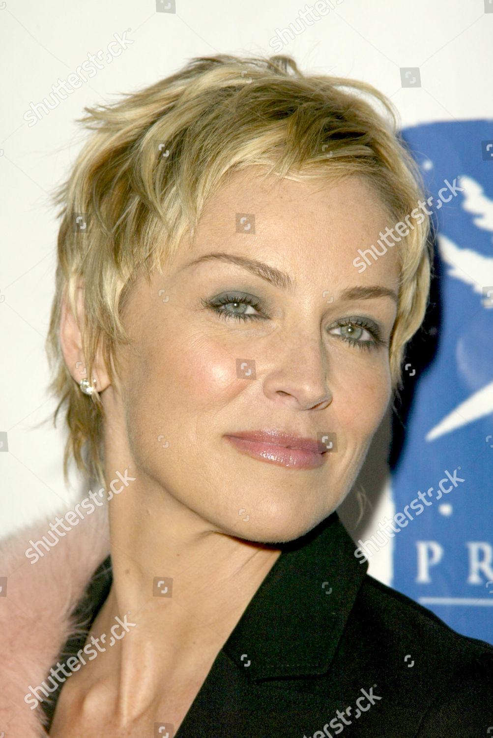 Sharon Stone Editorial Stock Photo - Stock Image | Shutterstock